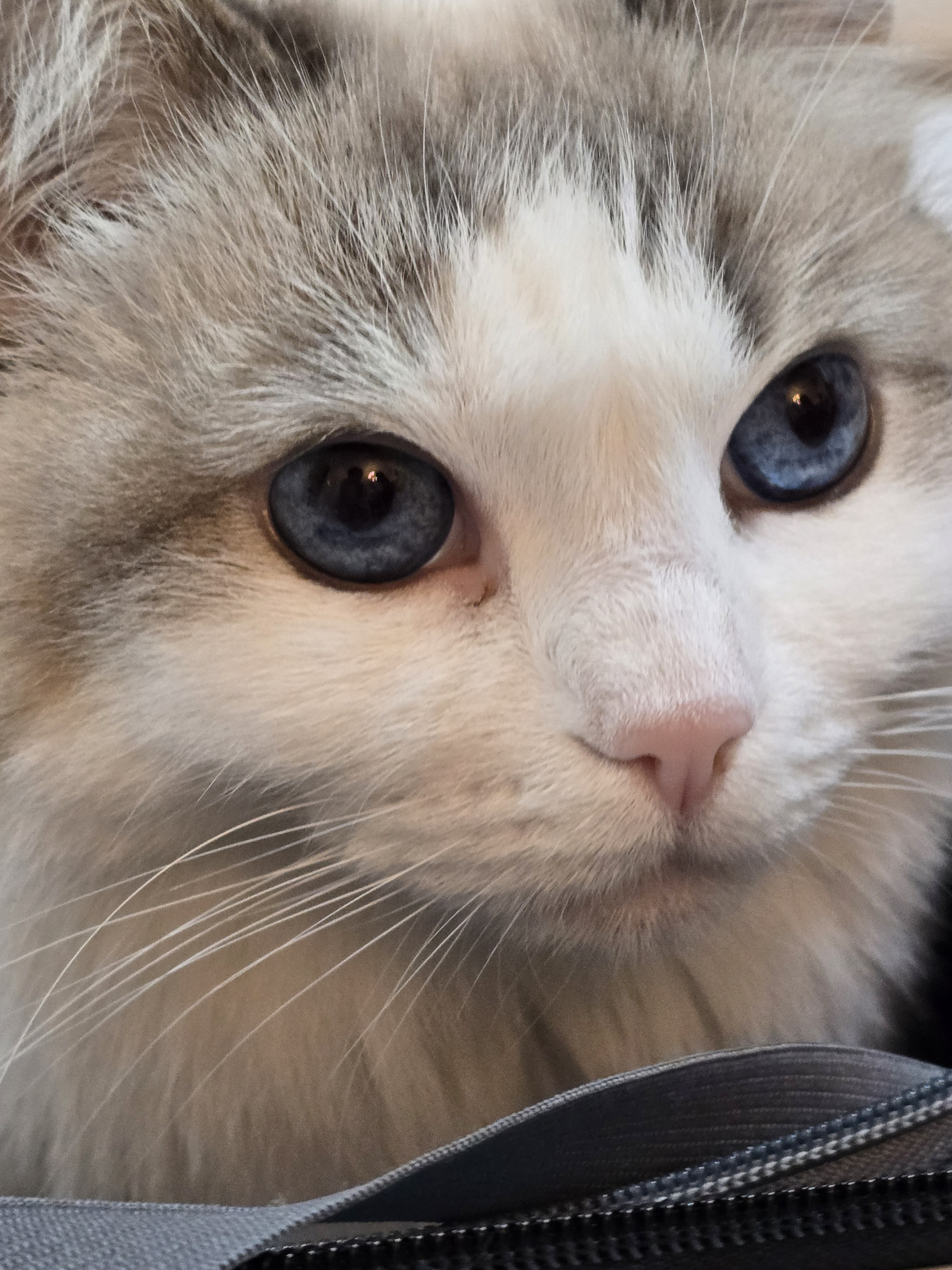 24u 에서 25u - 조드